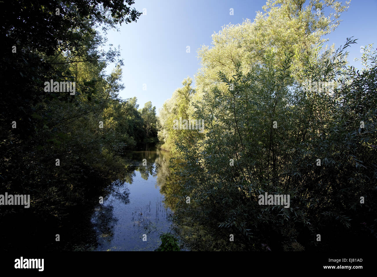 Fluss lippe nrw -Fotos und -Bildmaterial in hoher Auflösung – Alamy