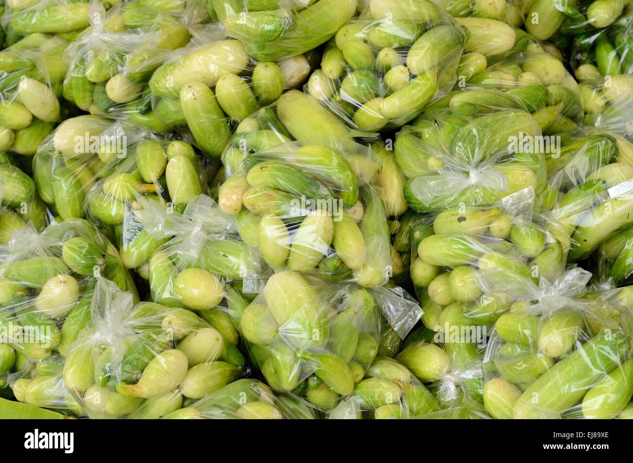 viele der Gurke (Cucumis Sativus) bei Thai-Markt Stockfotografie - Alamy
