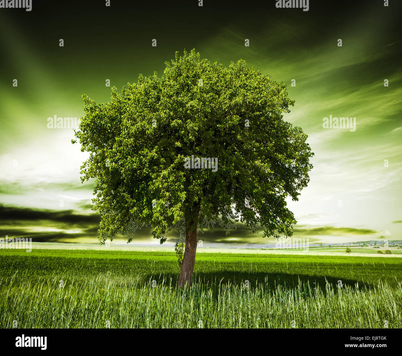 Super nature -Fotos und -Bildmaterial in hoher Auflösung – Alamy