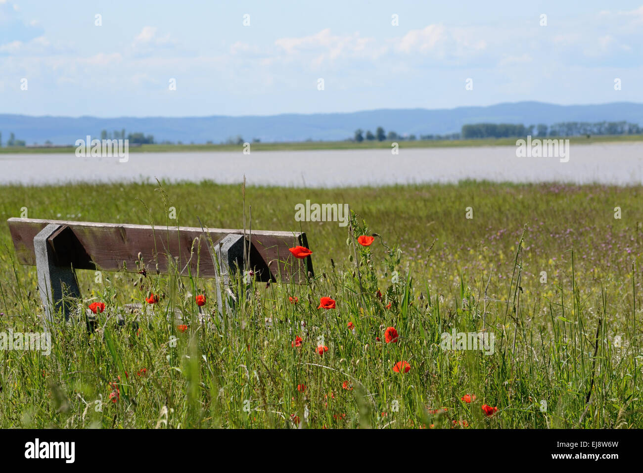 Idyllische aussicht auf -Fotos und -Bildmaterial in hoher Auflösung – Alamy