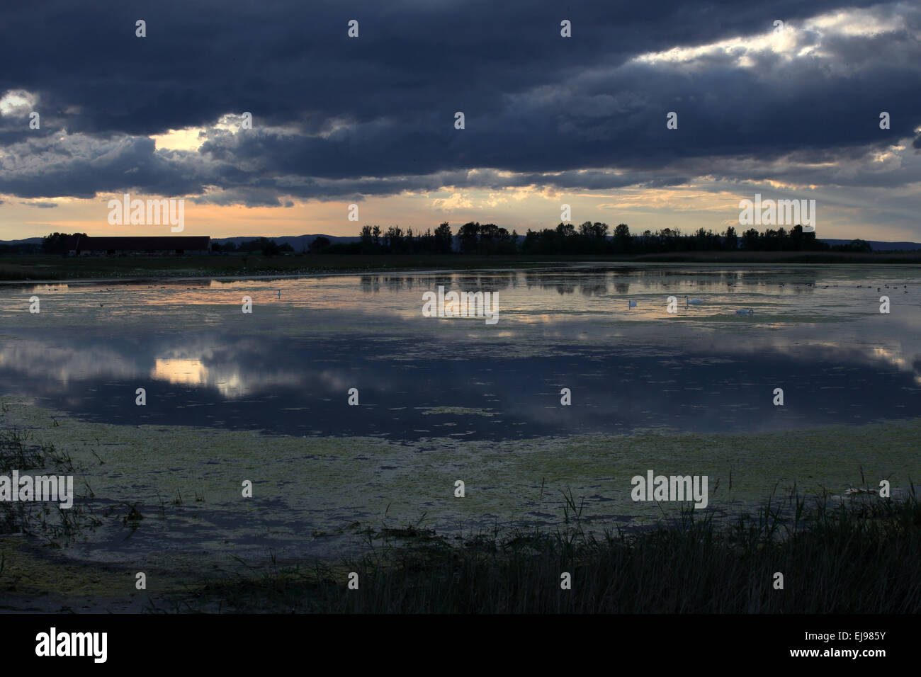 Nationalpark Lake Neusiedl, Österreich Stockfotografie - Alamy