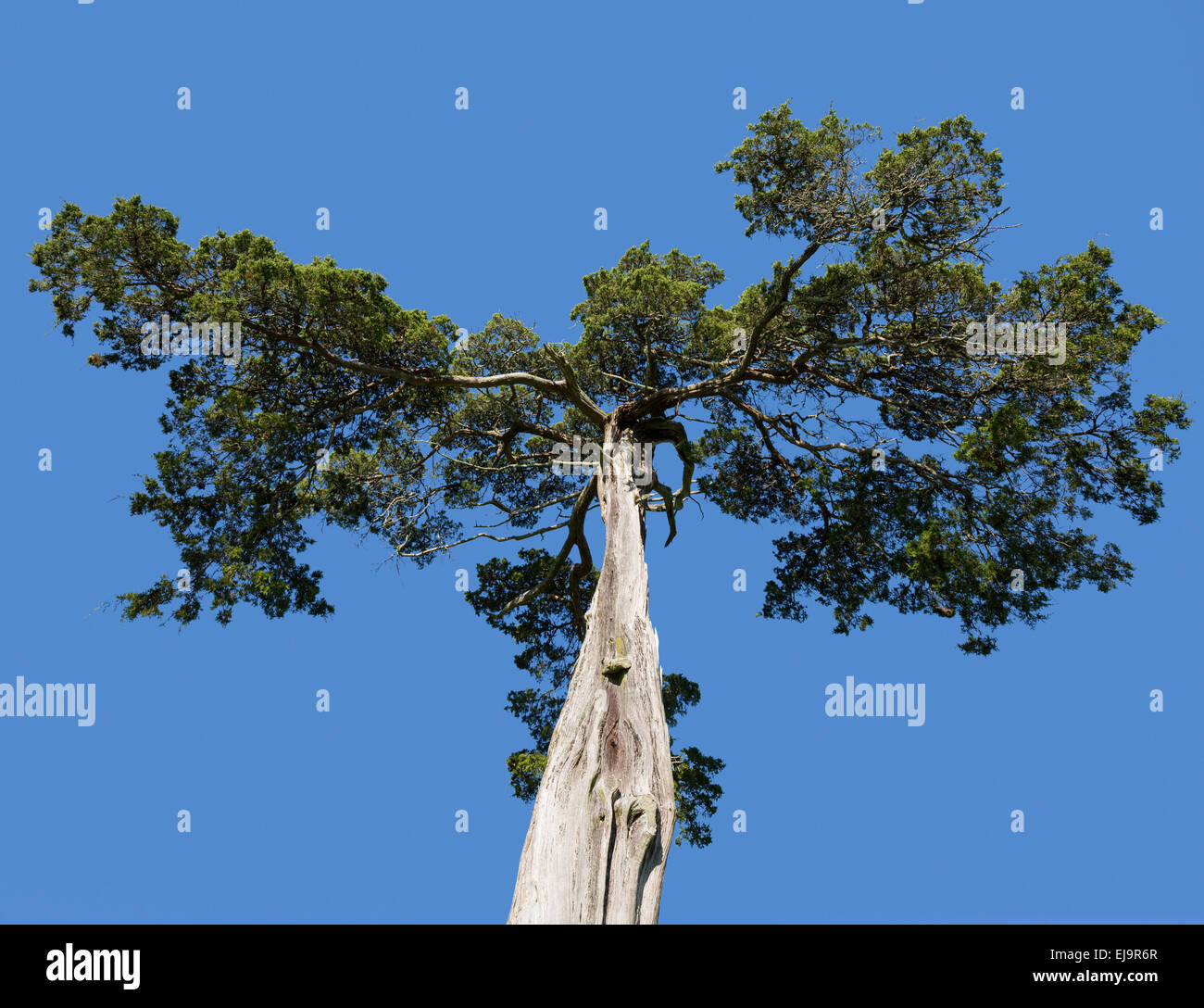 Lafayette national park -Fotos und -Bildmaterial in hoher Auflösung – Alamy