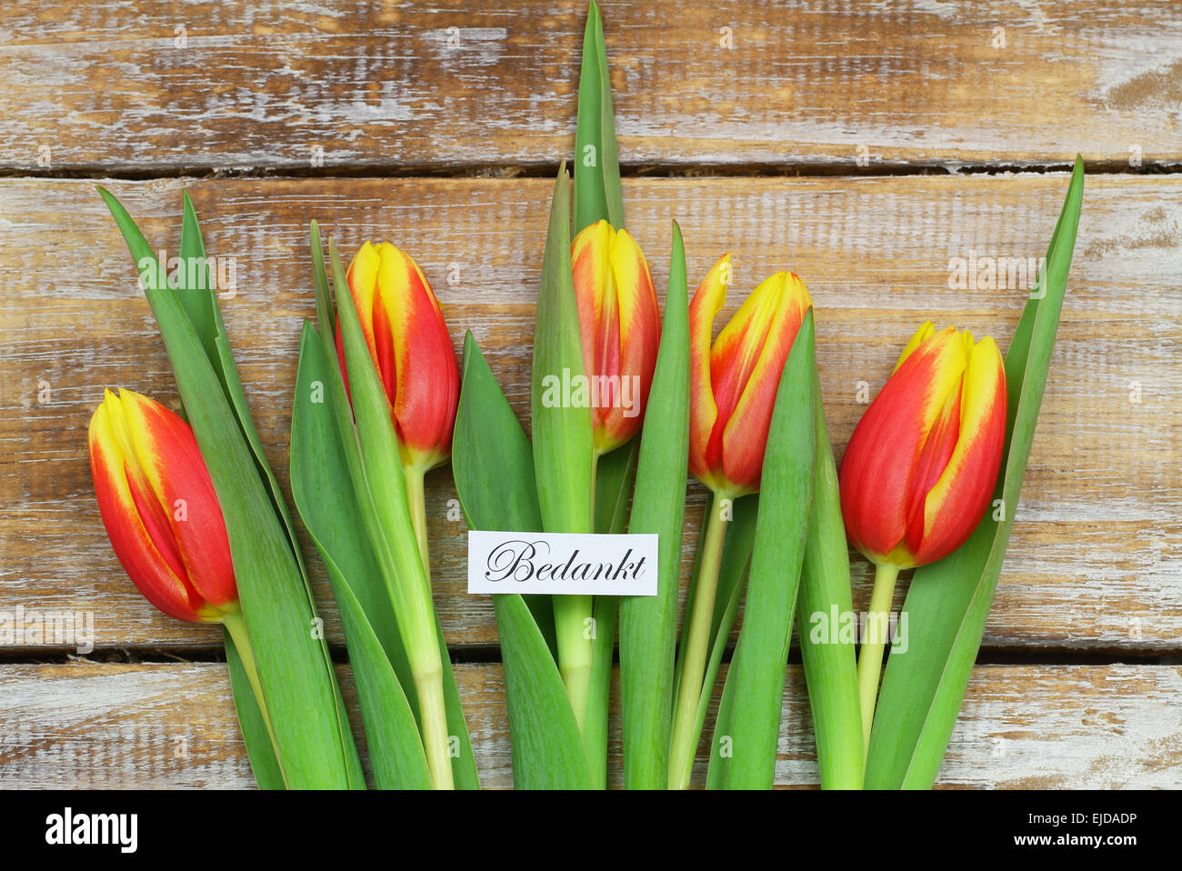 Dank je wel -Fotos und -Bildmaterial in hoher Auflösung – Alamy