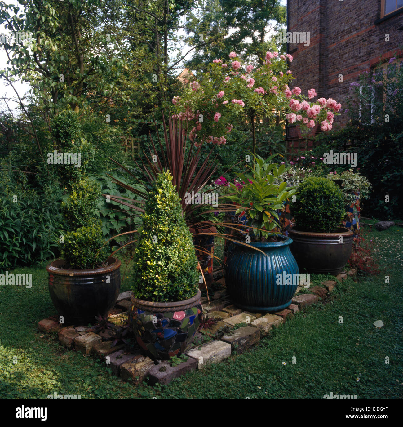 Topiary sträucher in töpfen -Fotos und -Bildmaterial in hoher Auflösung ...