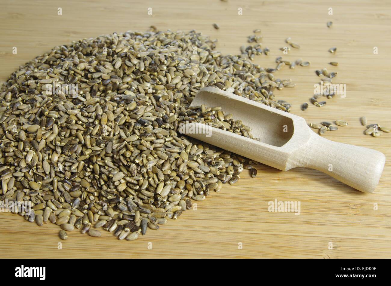 Distel textur -Fotos und -Bildmaterial in hoher Auflösung – Alamy