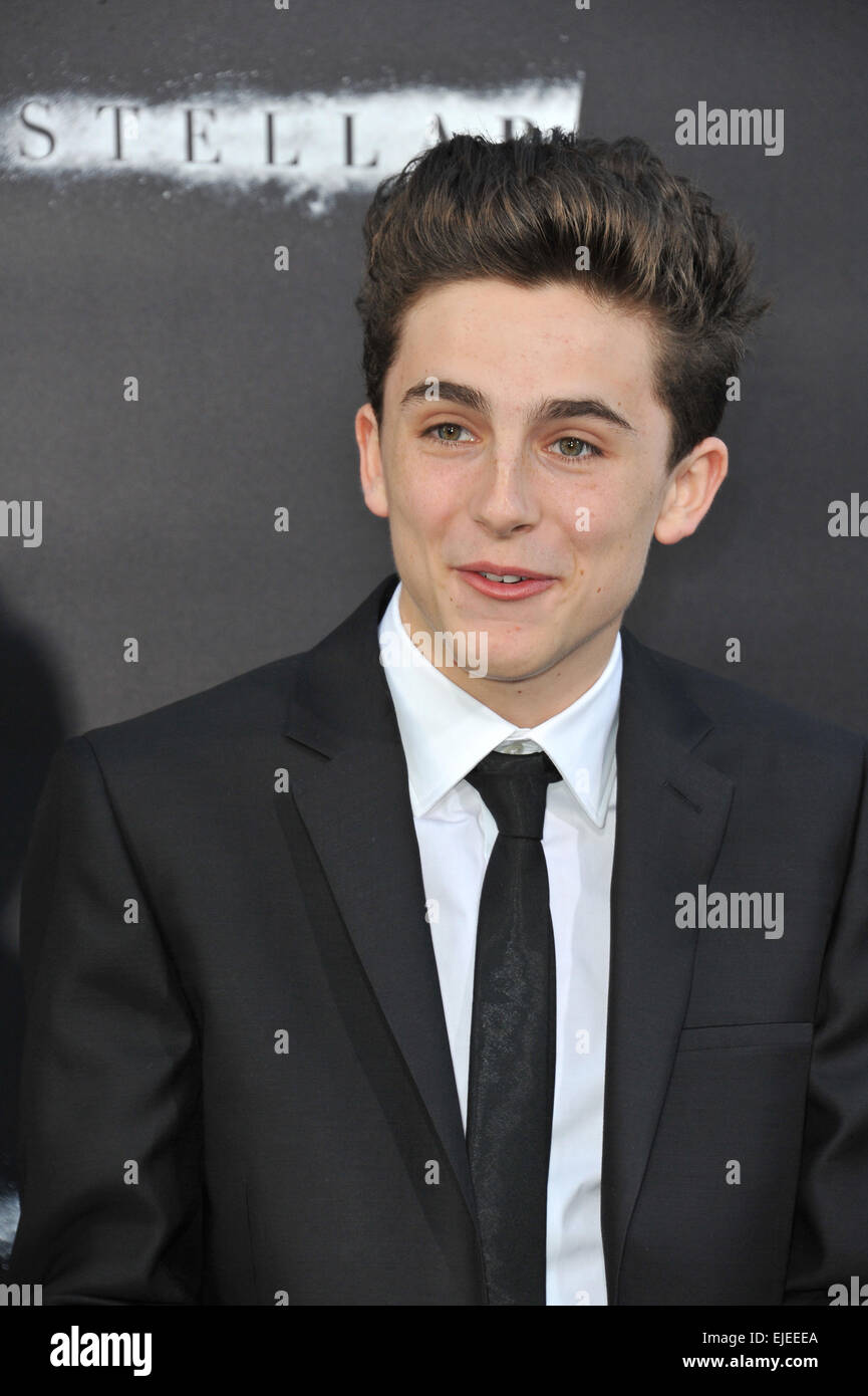Timothée chalamet interstellar -Fotos und -Bildmaterial in hoher ...