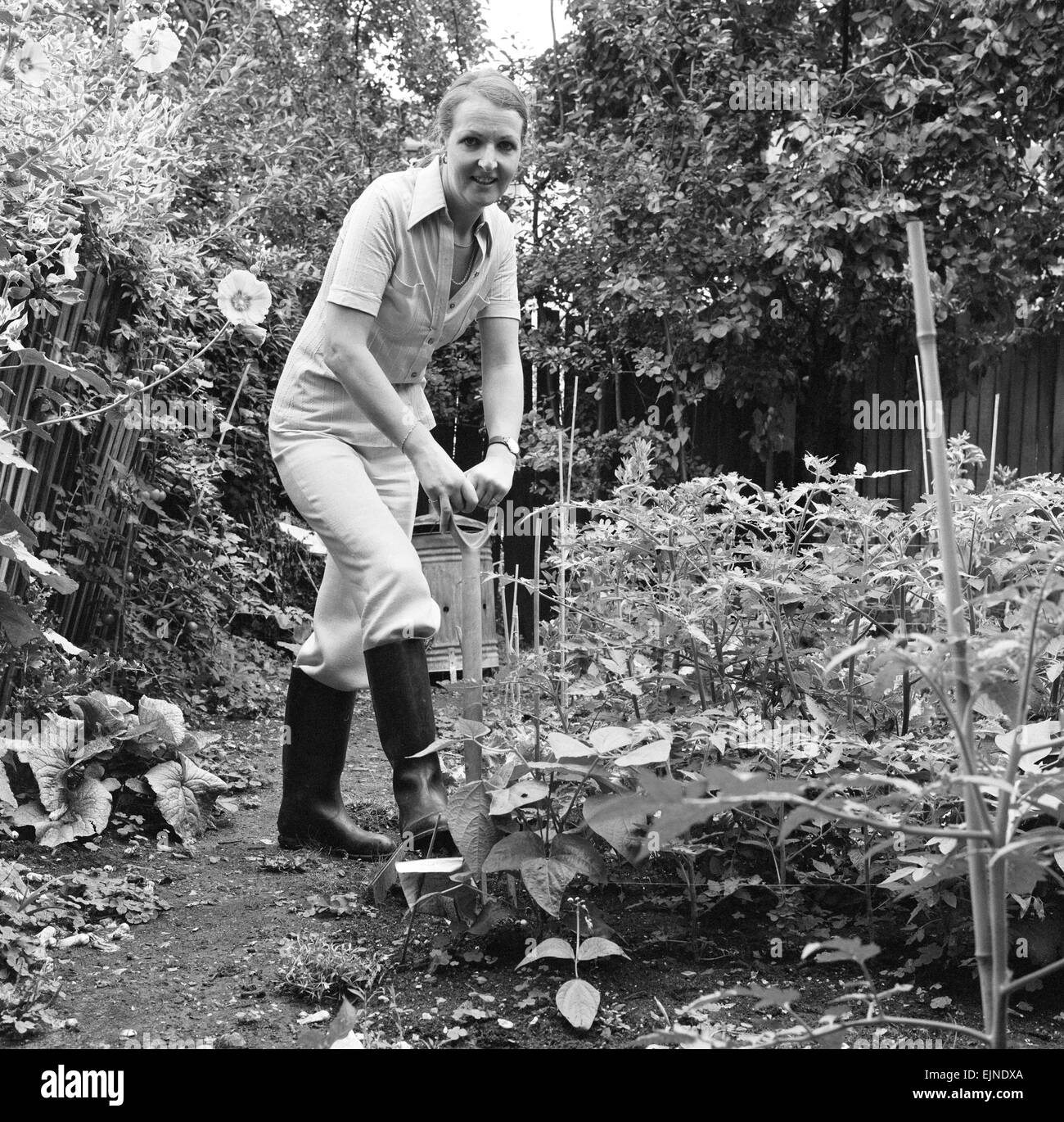 Margo leadbetter -Fotos und -Bildmaterial in hoher Auflösung – Alamy