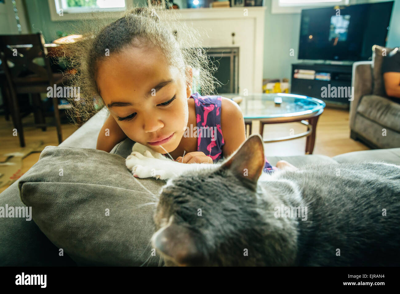 Katze hingabe -Fotos und -Bildmaterial in hoher Auflösung – Alamy