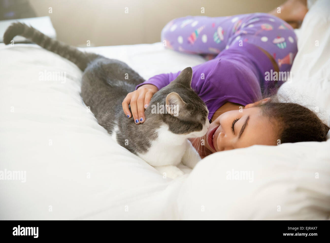 Katze Freundschaft Stockfotos und -bilder Kaufen - Alamy