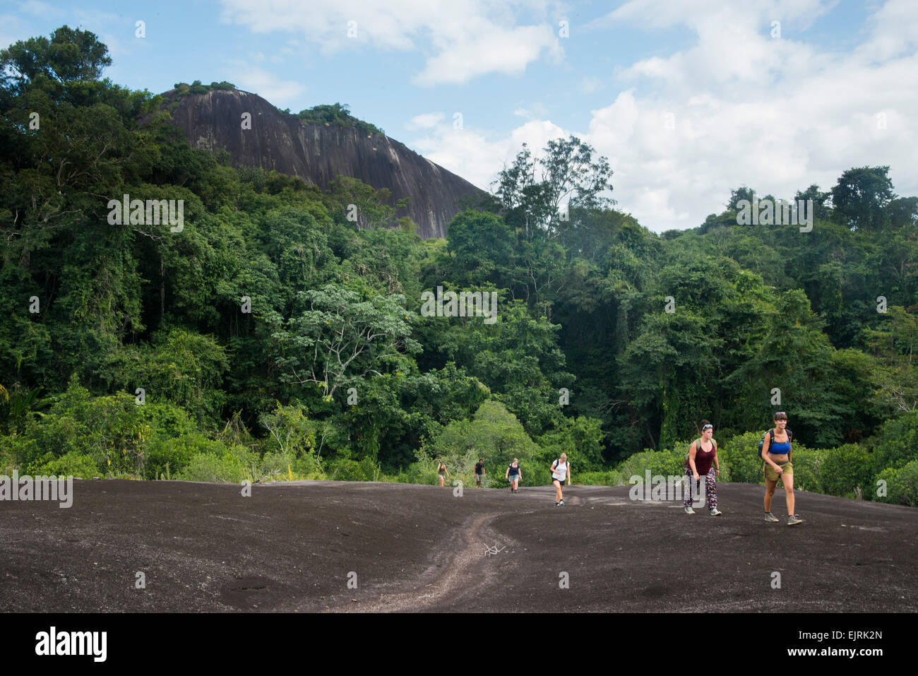 Wanderer am Gipfel Berg, zentrale Suriname Natur-Reserve, Suriname ...