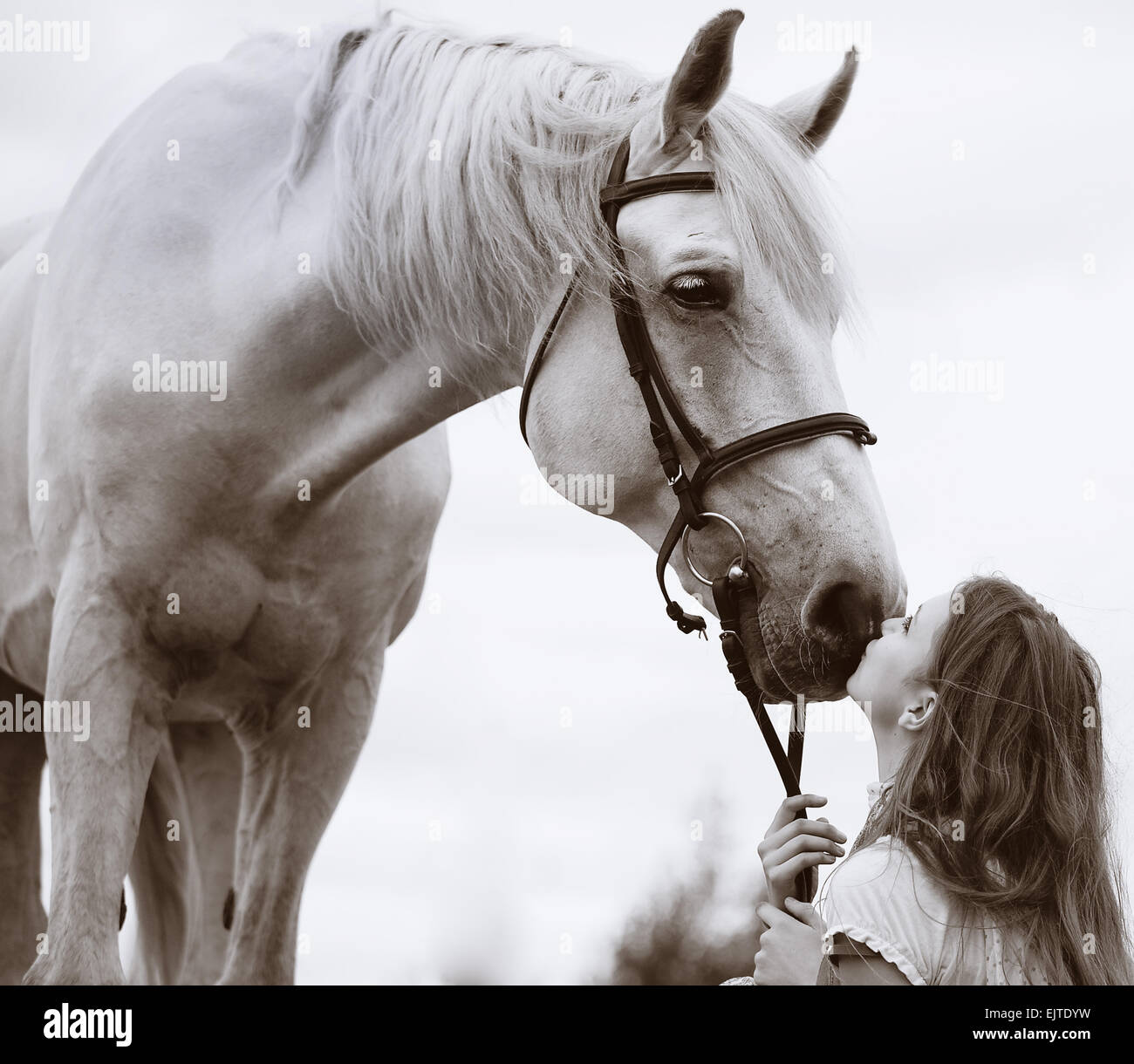 Mädchen mit pferd -Fotos und -Bildmaterial in hoher Auflösung – Alamy