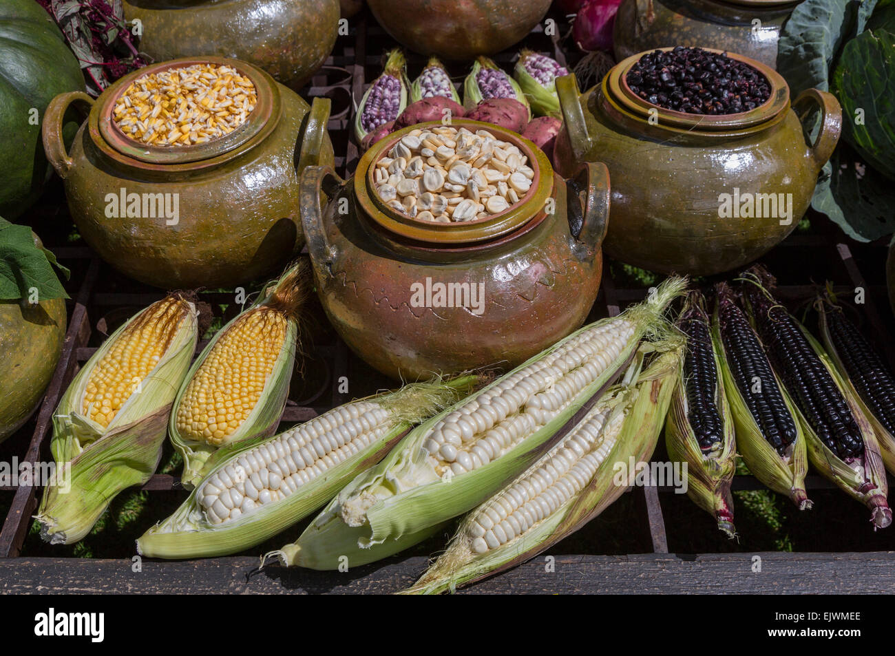 Peruanischer mais oder cuzco mais -Fotos und -Bildmaterial in hoher ...