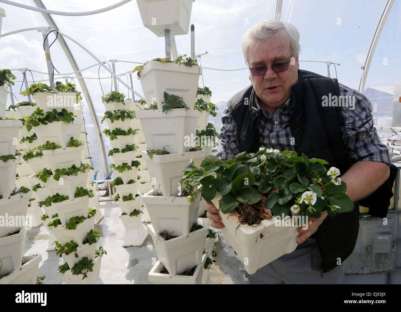 Conventional farming -Fotos und -Bildmaterial in hoher Auflösung – Alamy