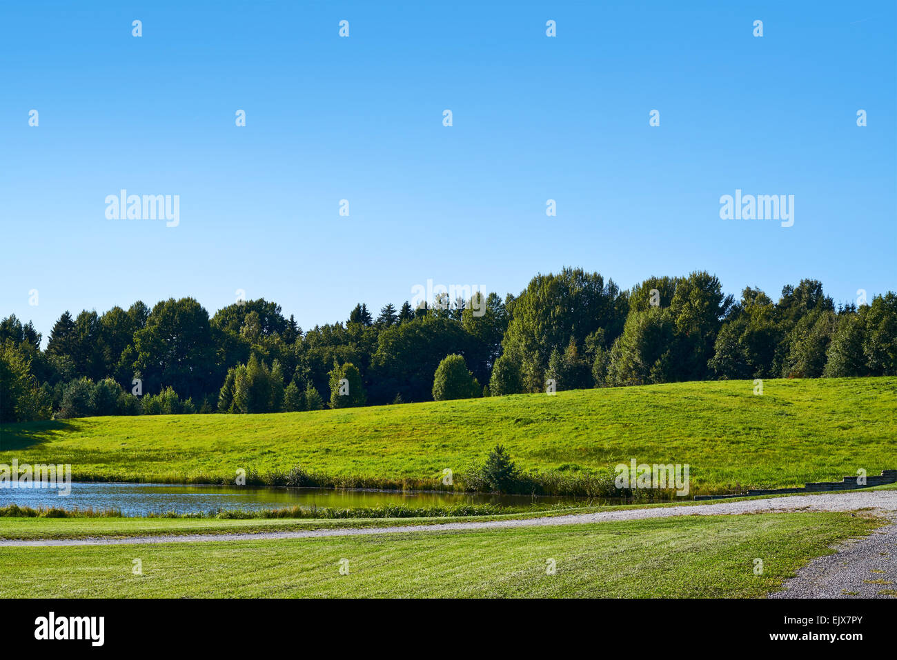 Estnische flora -Fotos und -Bildmaterial in hoher Auflösung – Alamy