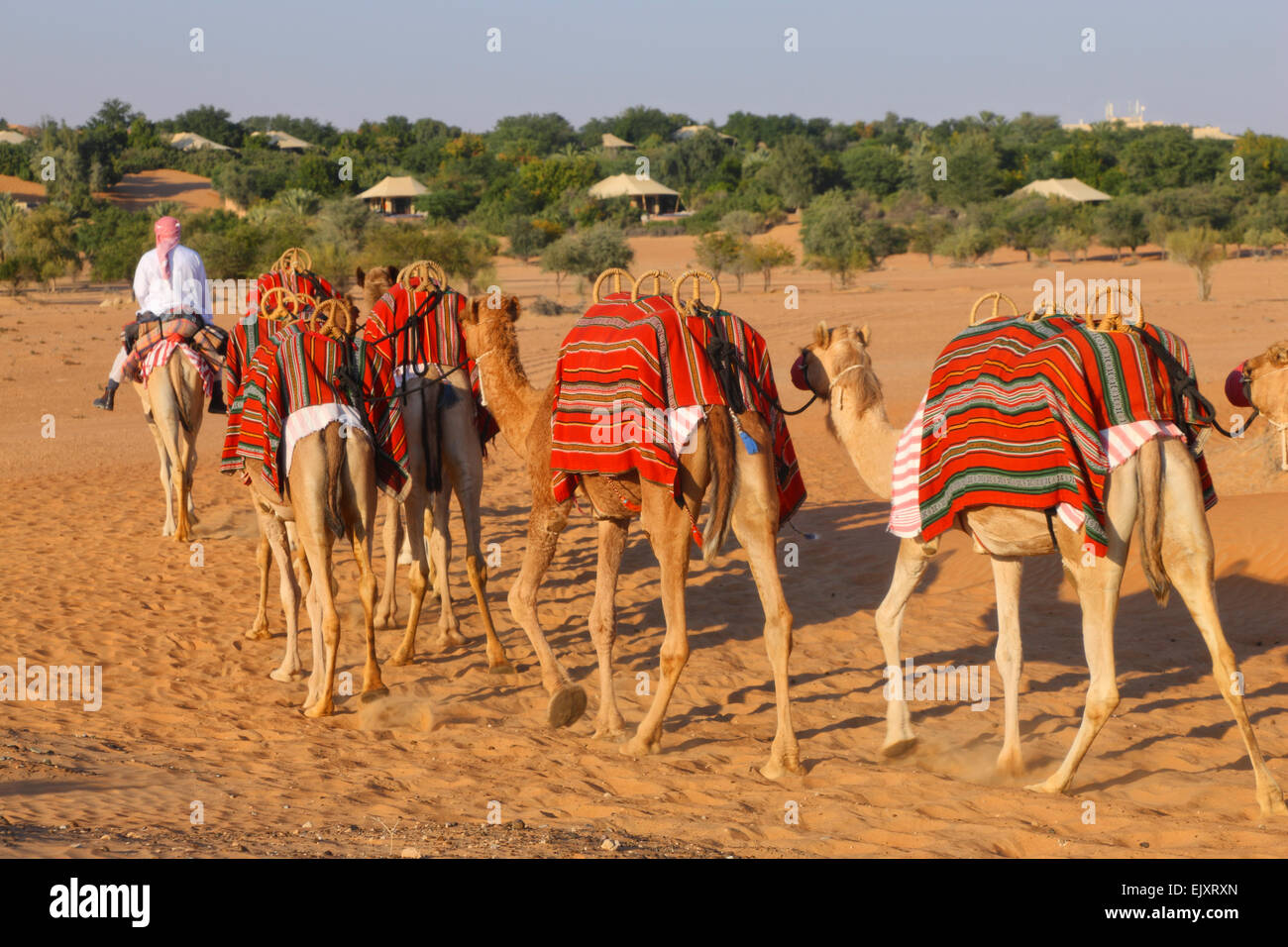 Al maha desert -Fotos und -Bildmaterial in hoher Auflösung – Alamy