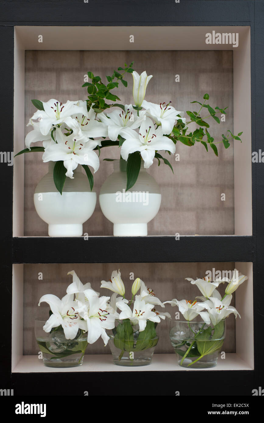 Sambuca flower -Fotos und -Bildmaterial in hoher Auflösung – Alamy