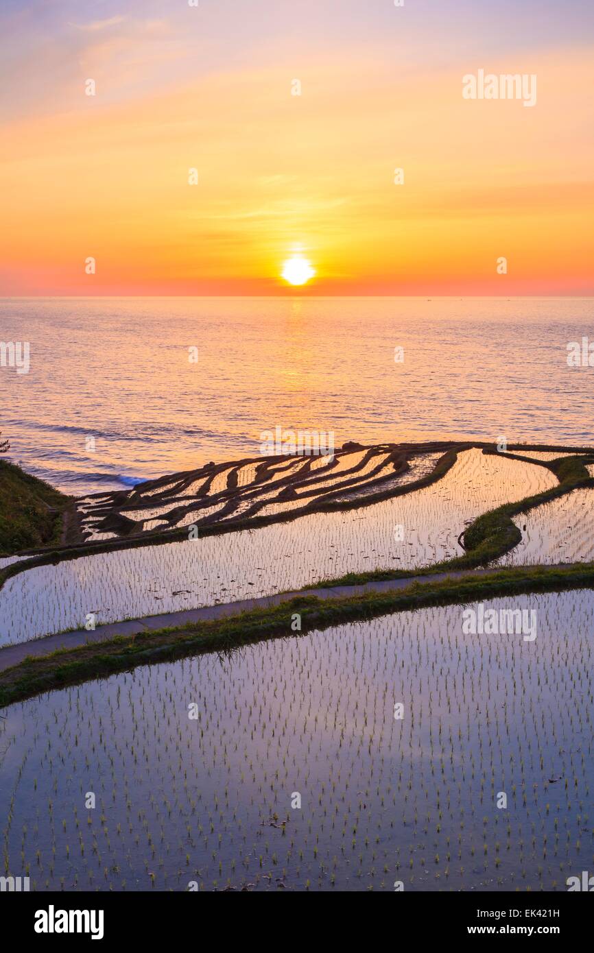 Landwirtschaft japan Stockfotos und -bilder Kaufen - Alamy