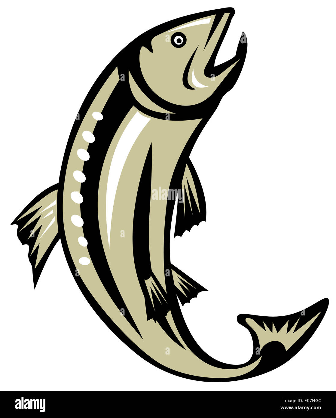 Springende forelle -Fotos und -Bildmaterial in hoher Auflösung – Alamy