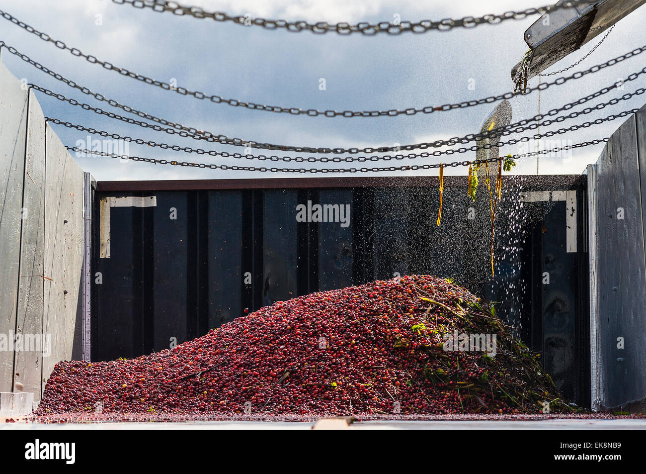 Ernte usa -Fotos und -Bildmaterial in hoher Auflösung – Alamy