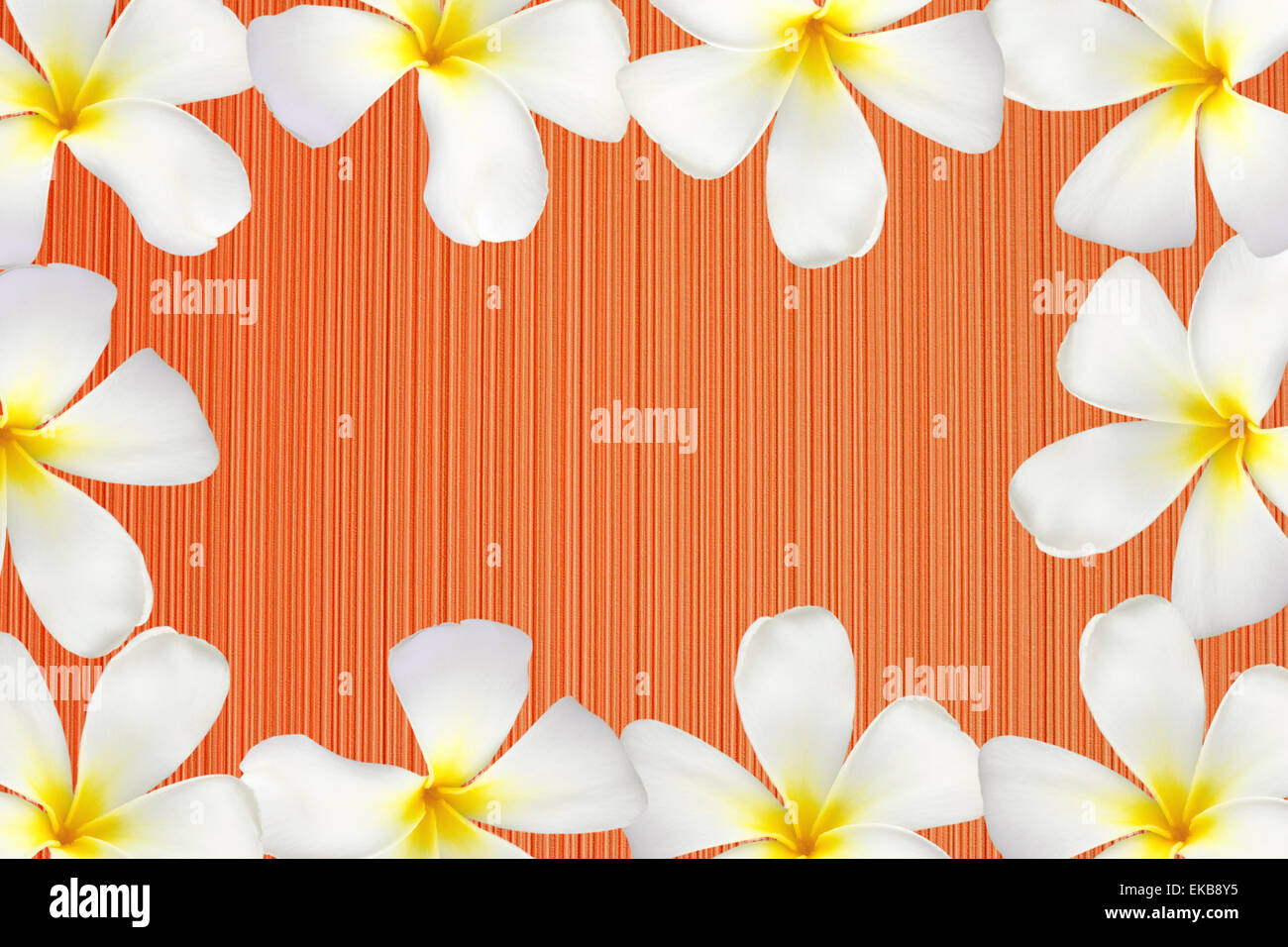 Roter frangipani -Fotos und -Bildmaterial in hoher Auflösung - Seite 2 ...