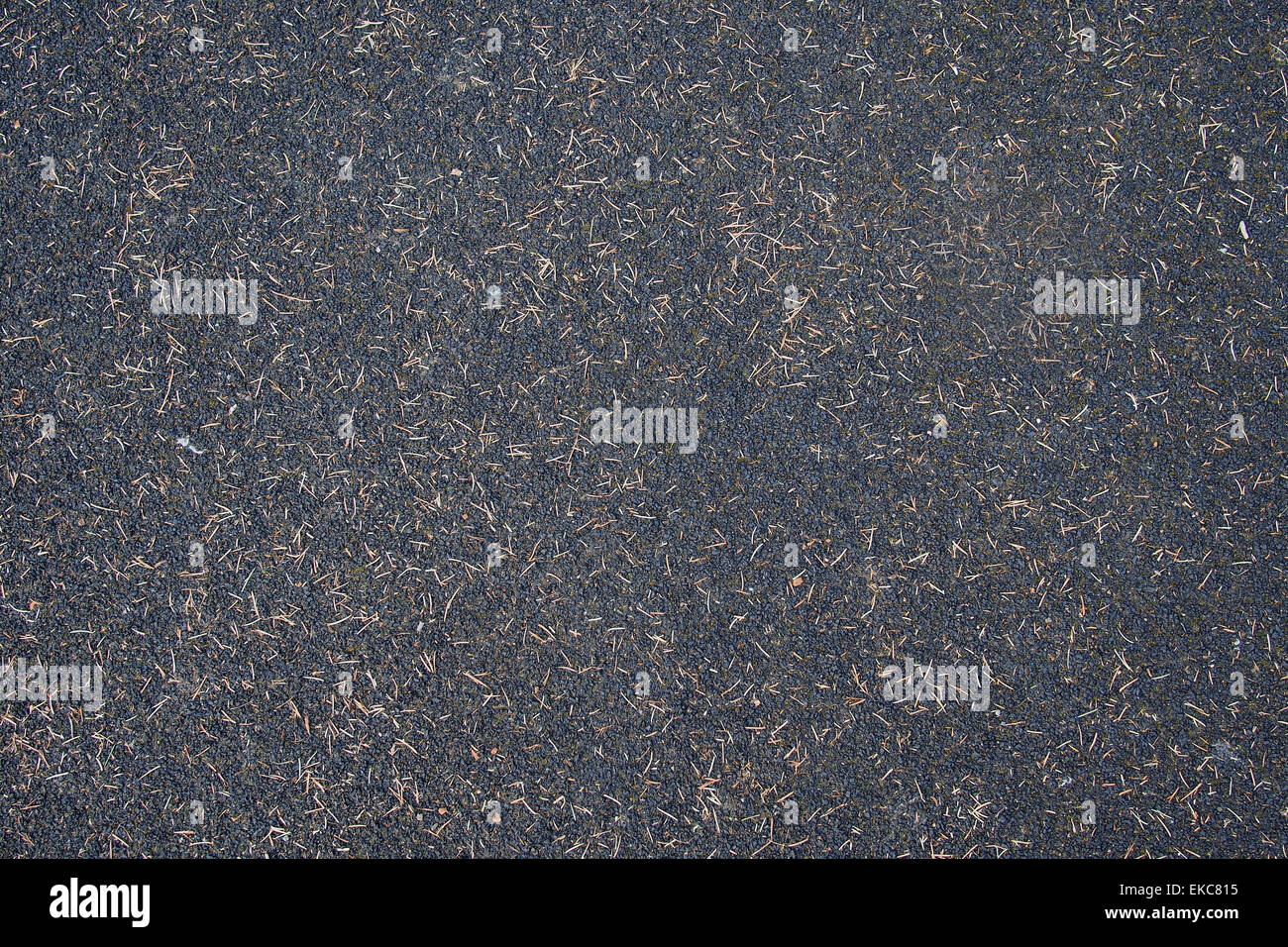 Soil texture -Fotos und -Bildmaterial in hoher Auflösung – Alamy