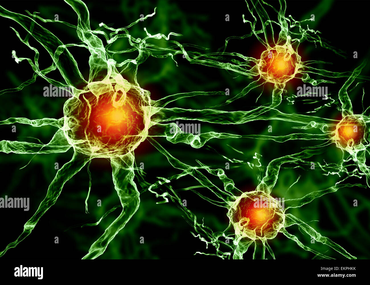 Abbildung einer Nervenzelle Stockfotografie - Alamy