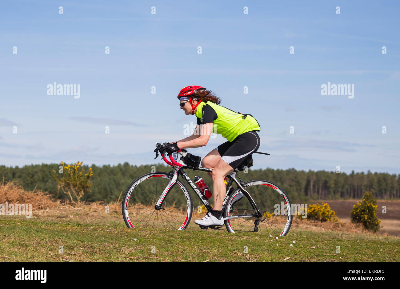 Neuer wald radfahren -Fotos und -Bildmaterial in hoher Auflösung – Alamy