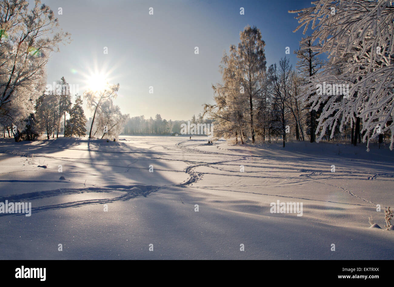 Winterlandschaft im schwarzwald -Fotos und -Bildmaterial in hoher ...