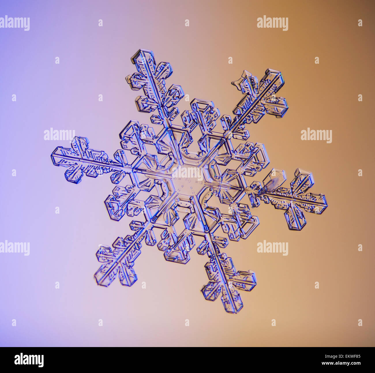 Crystal snow ice crystal microscopic -Fotos und -Bildmaterial in hoher ...