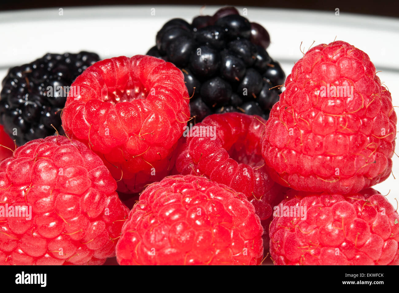 Brombeeren und himbeeren -Fotos und -Bildmaterial in hoher Auflösung ...