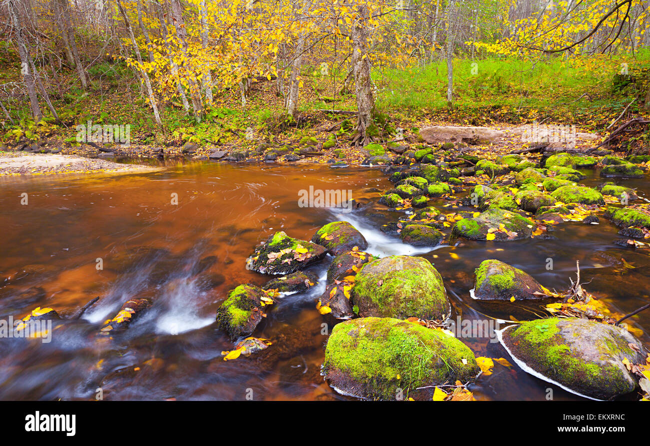 Ein fluss im wald -Fotos und -Bildmaterial in hoher Auflösung – Alamy