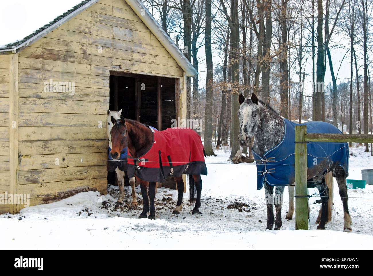 Scheune im winter -Fotos und -Bildmaterial in hoher Auflösung – Alamy