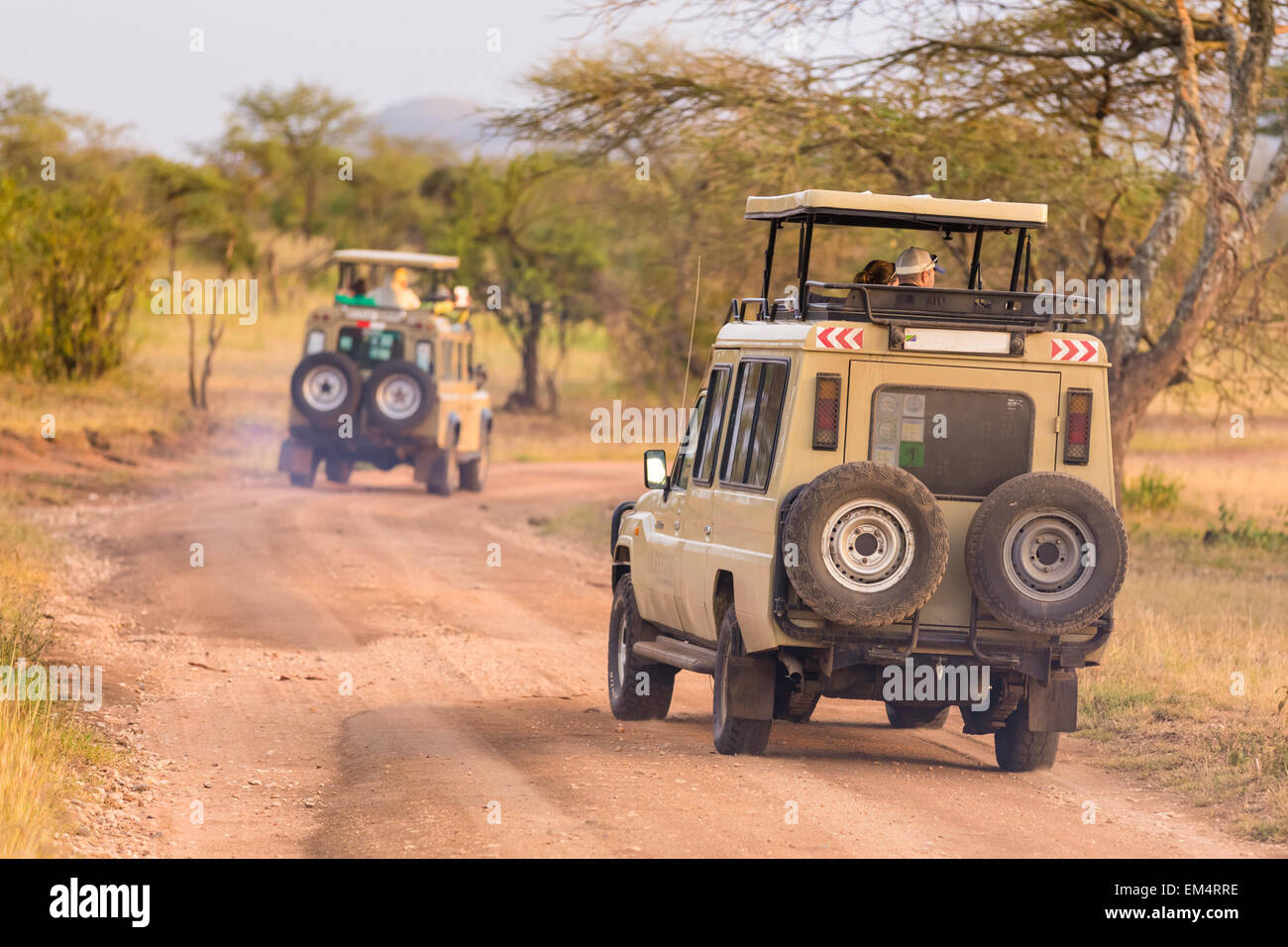Safarifahrzeug jeep -Fotos und -Bildmaterial in hoher Auflösung – Alamy