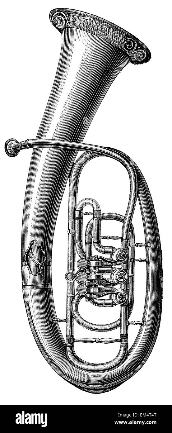 Oval form -Fotos und -Bildmaterial in hoher Auflösung – Alamy