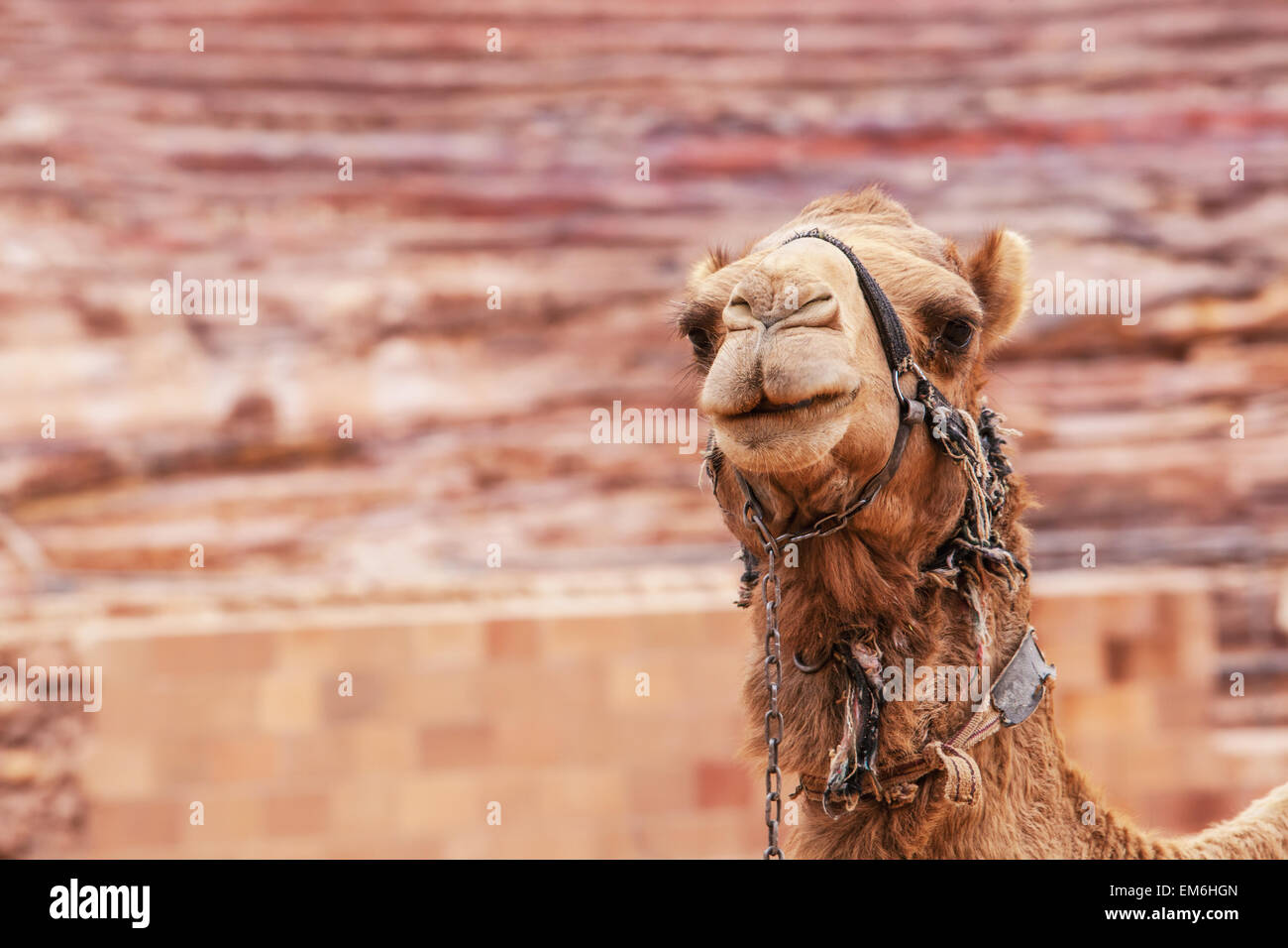 Jordan mauer -Fotos und -Bildmaterial in hoher Auflösung – Alamy