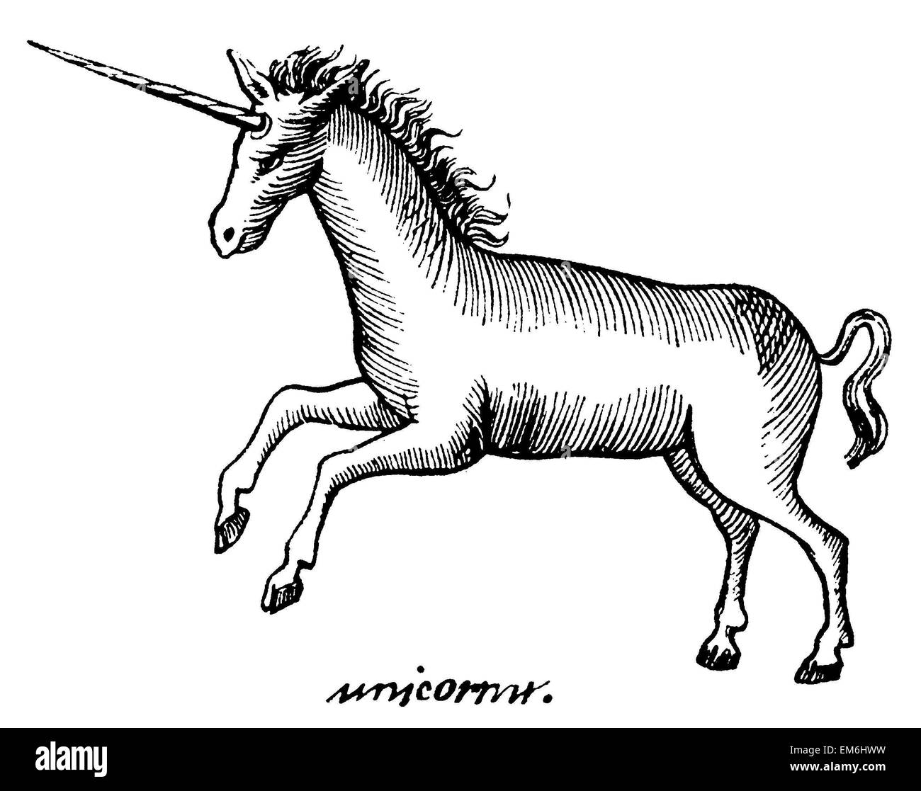 Das einhorn -Fotos und -Bildmaterial in hoher Auflösung – Alamy