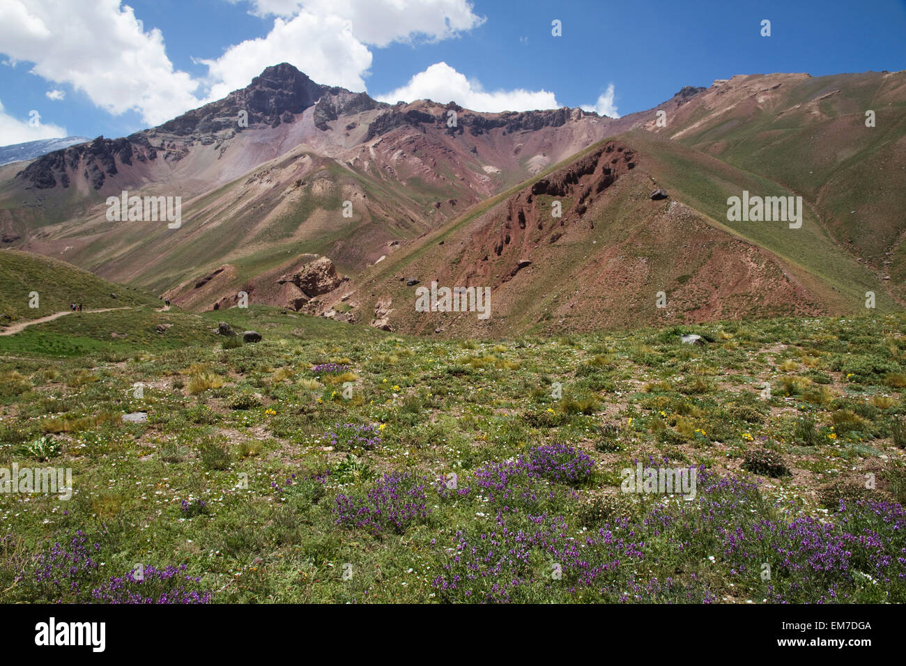 Anden Berge Quebrada Horcones, Mount Aconcagua Provincial Park, Mendoza ...