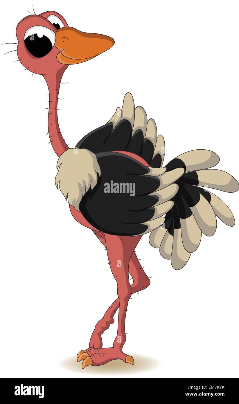Vogel strauss comic -Fotos und -Bildmaterial in hoher Auflösung – Alamy