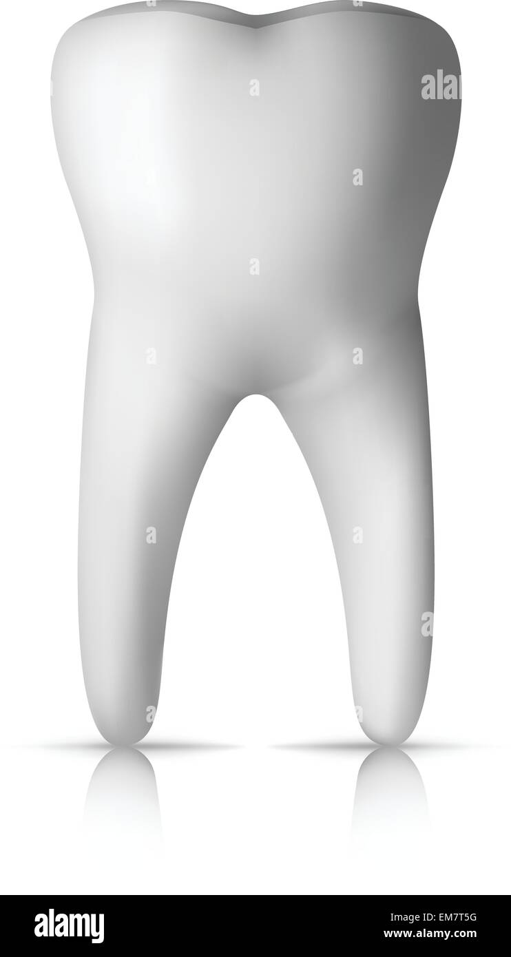 Gesunder backenzahn -Fotos und -Bildmaterial in hoher Auflösung – Alamy