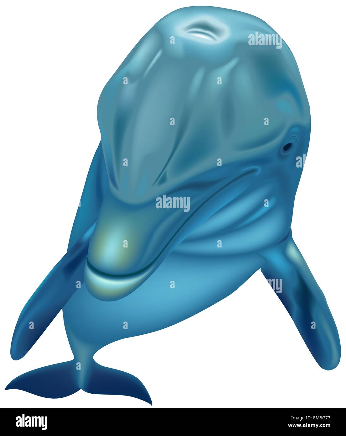 Bottlenose dolphin illustration Stock-Vektorgrafiken kaufen - Alamy