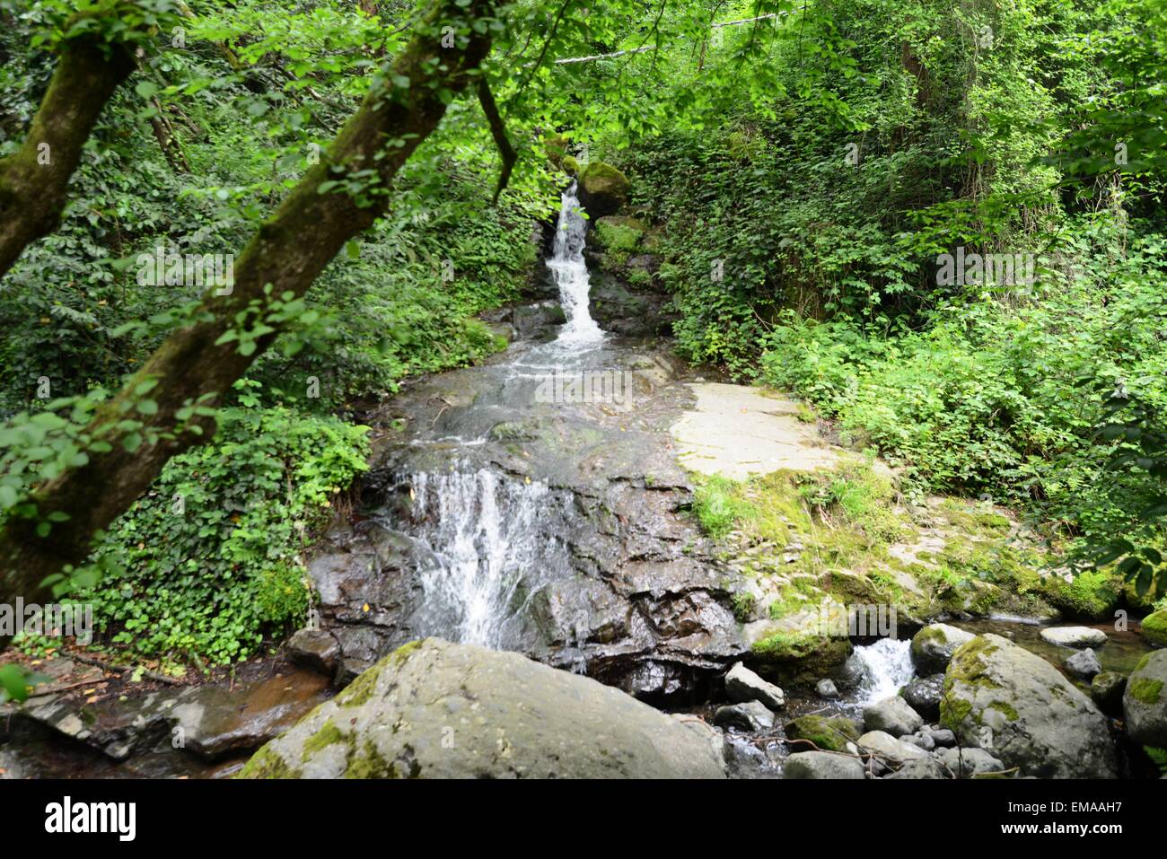 Bach bach quelle Stockfotos und -bilder Kaufen - Alamy