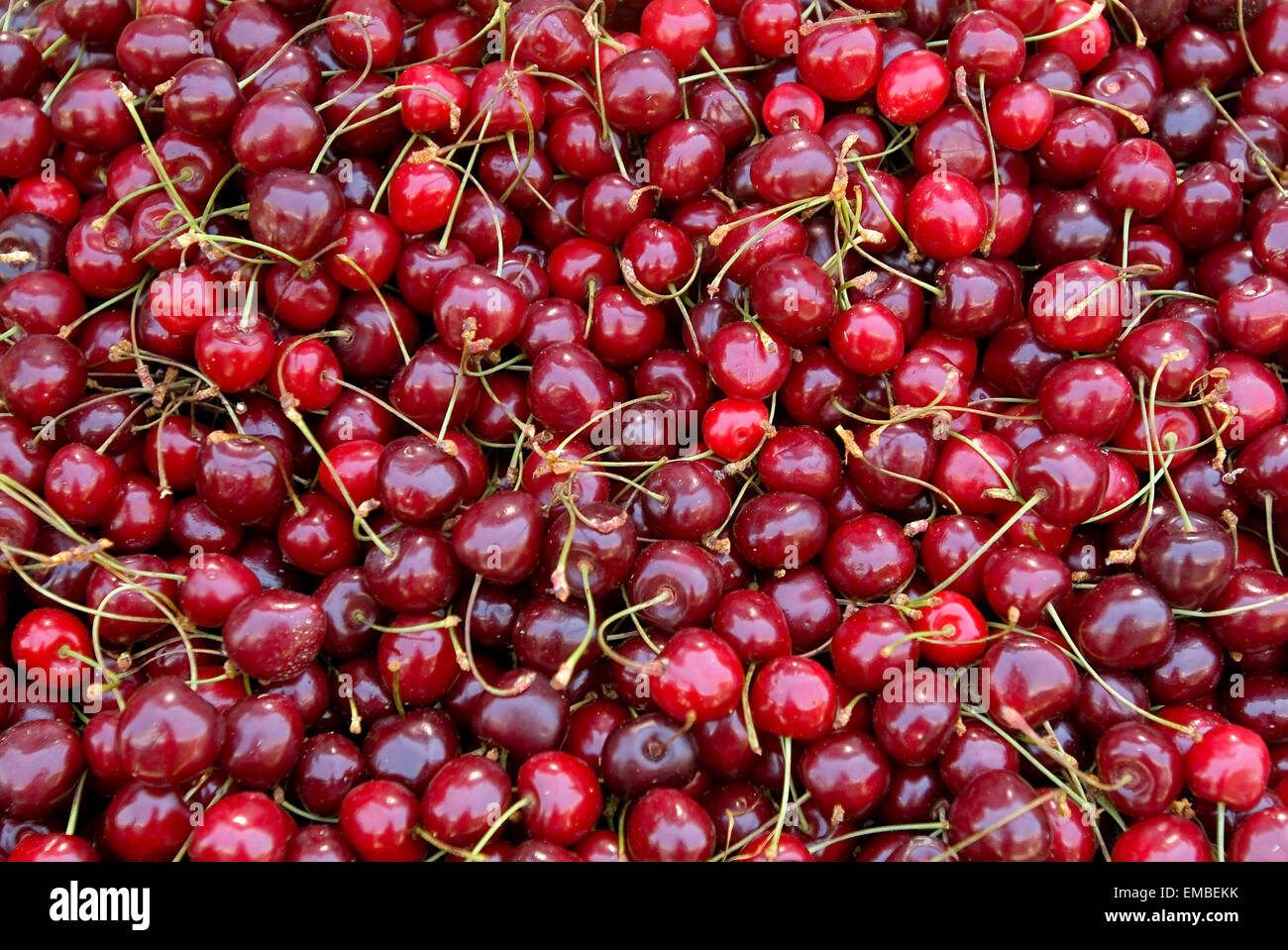 Kirschenmarkt stehen -Fotos und -Bildmaterial in hoher Auflösung – Alamy