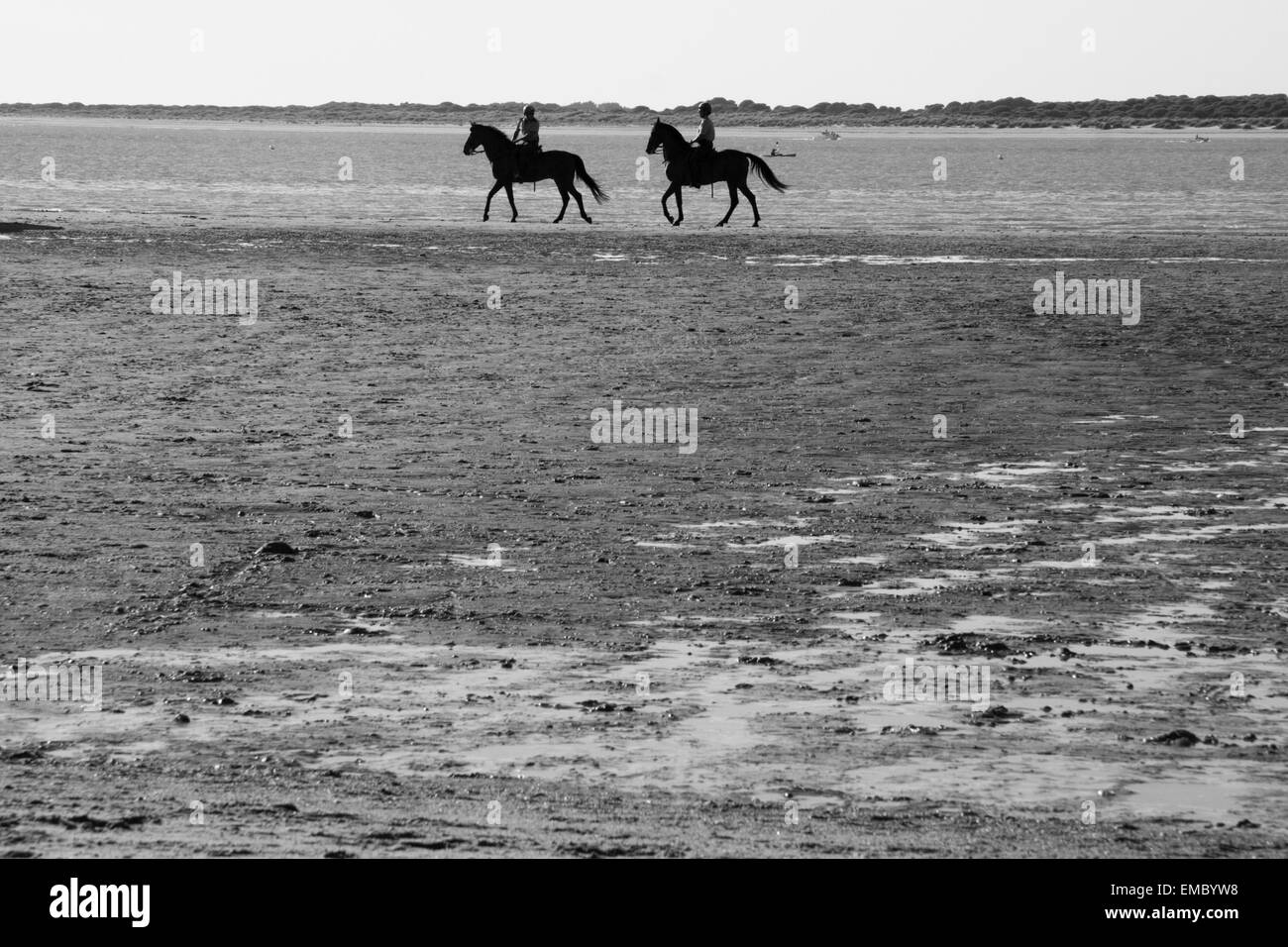 Reiter und pferd am strand Schwarzweiß-Stockfotos und -bilder - Alamy
