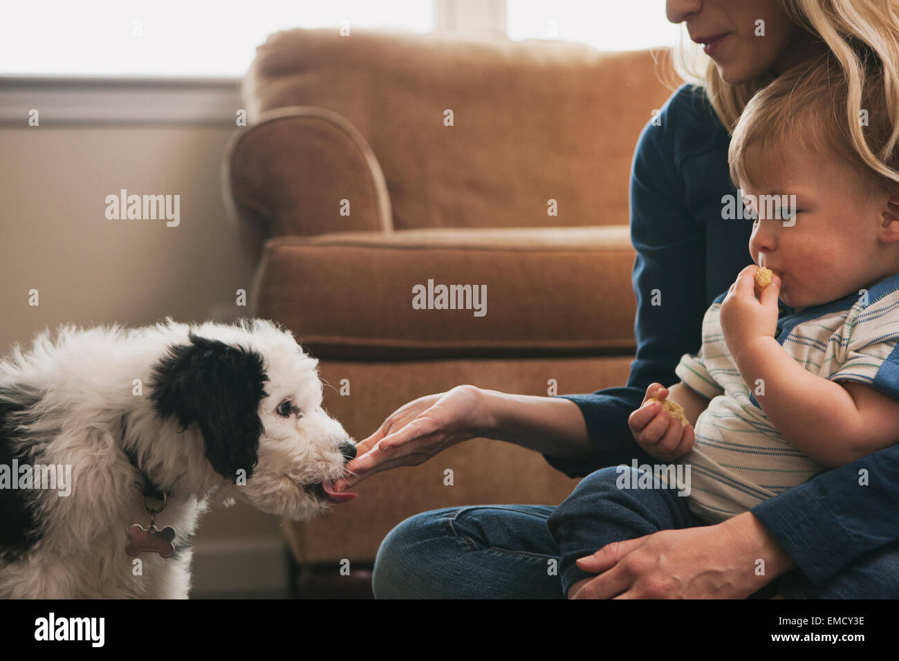 Hund Mit Mensch Stockfotos und -bilder Kaufen - Alamy