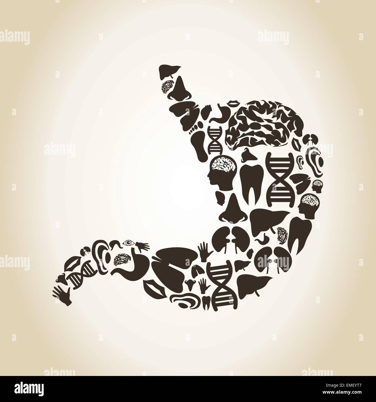 Body parts vector Stock-Vektorgrafiken kaufen - Alamy