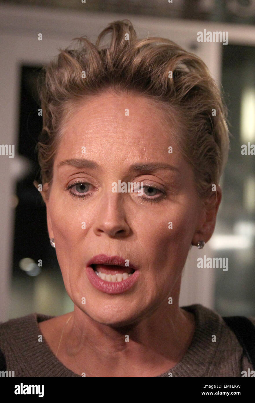 2014-Hollywood Film Festival - Opening Night Gala und Q&A mit: Sharon ...