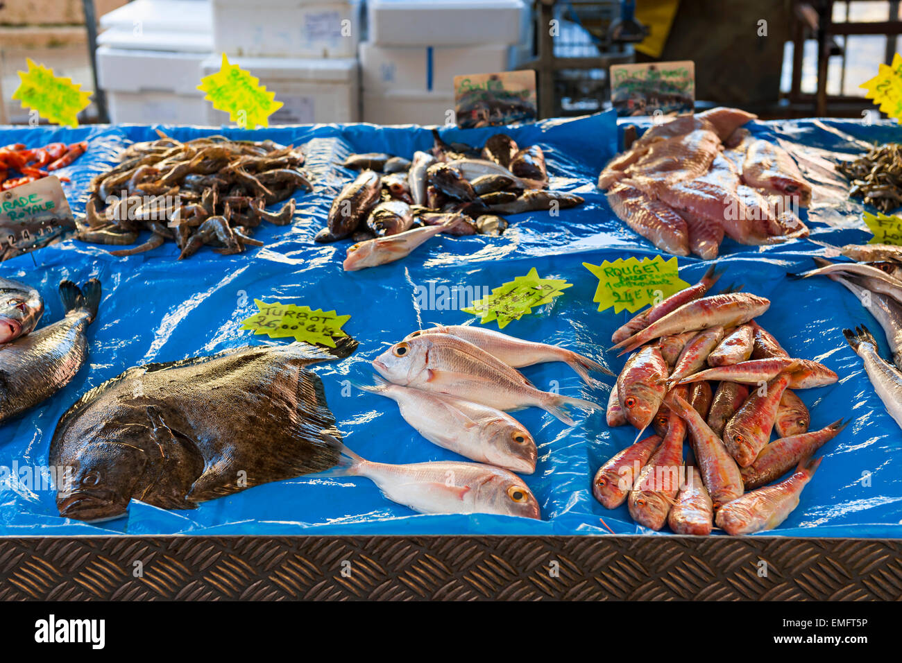 Fish market nice france -Fotos und -Bildmaterial in hoher Auflösung – Alamy