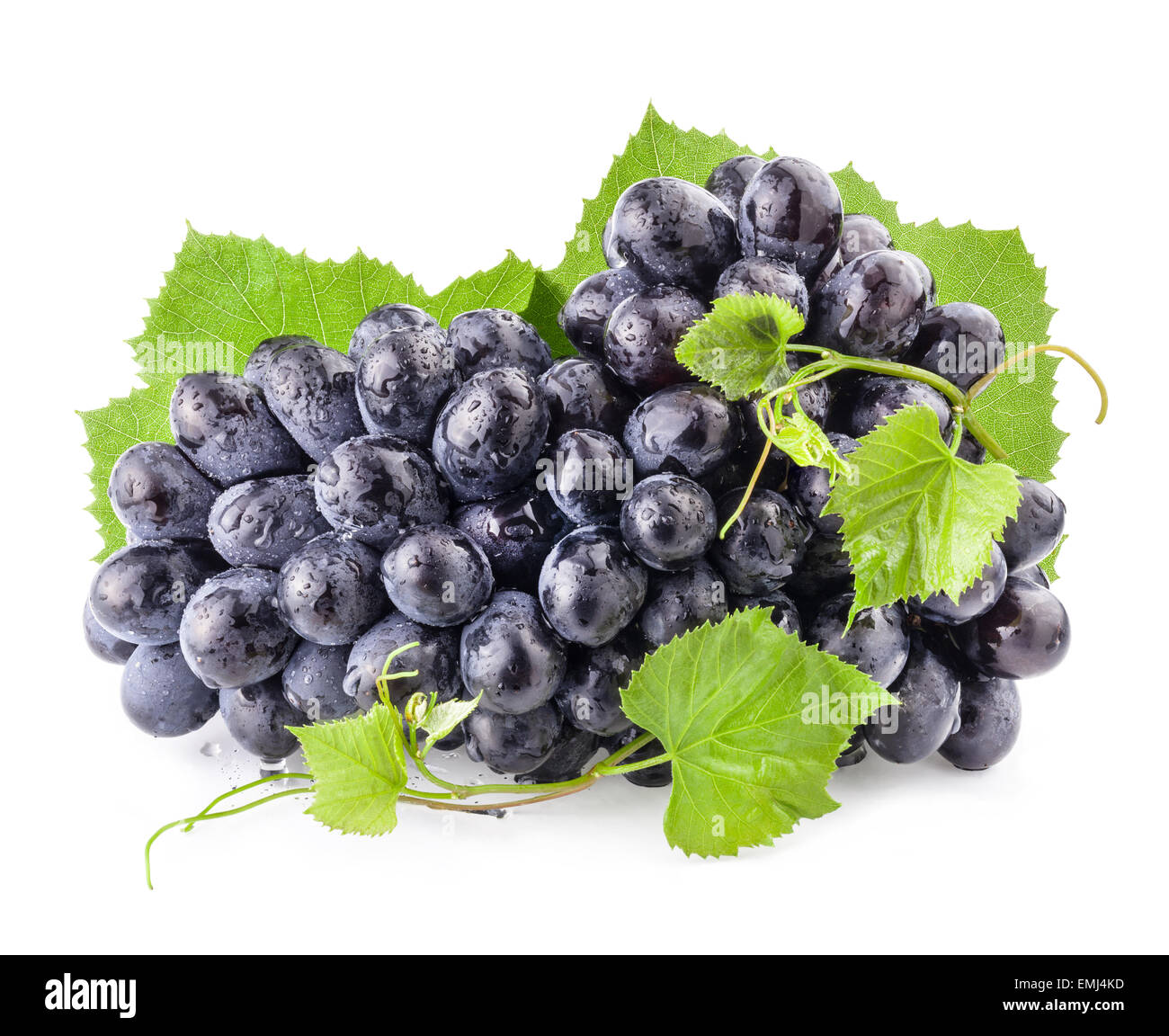 Karmesinrote trauben -Fotos und -Bildmaterial in hoher Auflösung – Alamy