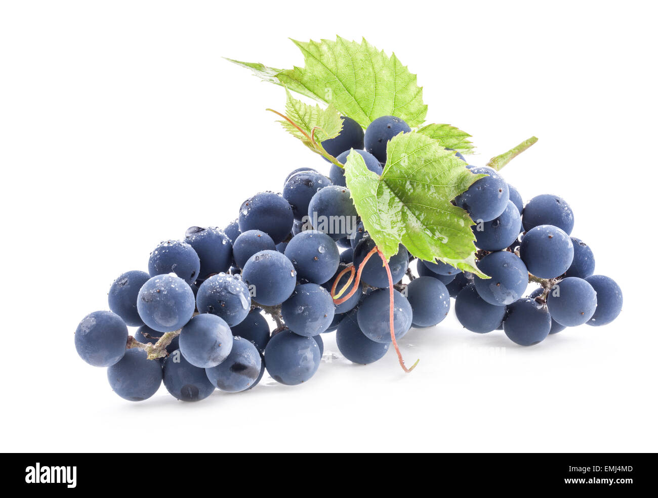 Karmesinrote trauben -Fotos und -Bildmaterial in hoher Auflösung – Alamy