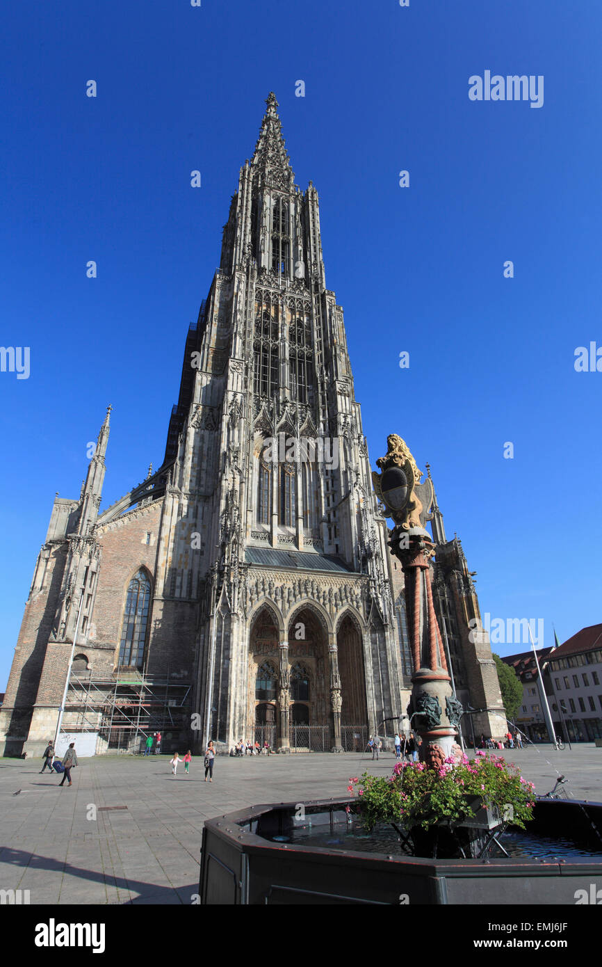 Ulmer münster deutschland -Fotos und -Bildmaterial in hoher Auflösung – Alamy